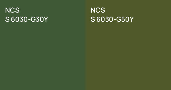 NCS S 6030-G30Y vs. NCS S 6030-G50Y comparison
