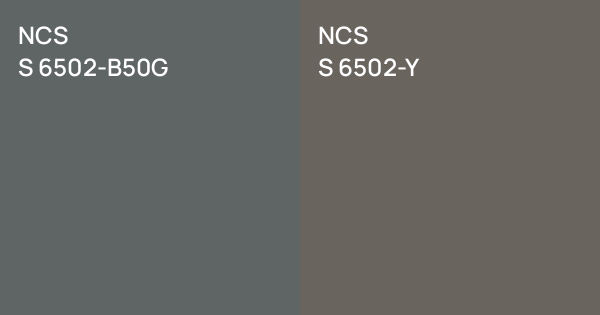 NCS S 6502-B50G vs. NCS S 6502-Y comparison