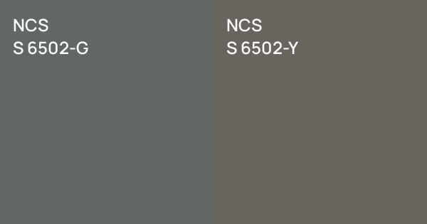 NCS S 6502-G vs. NCS S 6502-Y comparison