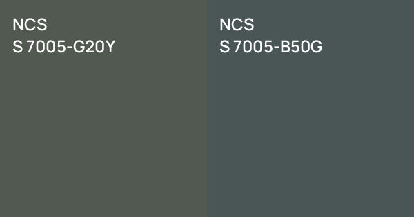 Ncs S 7005 G20y Vs Ncs S 7005 B50g Comparison