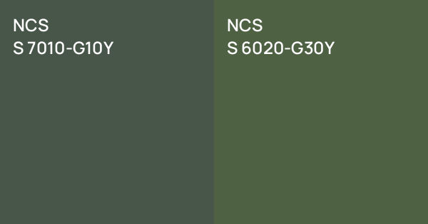 NCS S 7010-G10Y vs. NCS S 6020-G30Y comparison