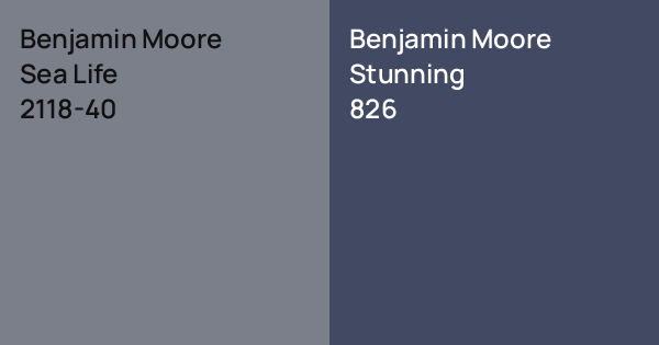 Benjamin Moore Sea Life vs. Benjamin Moore Stunning comparison