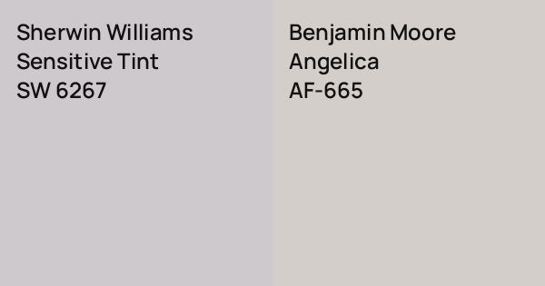 Sherwin Williams Sensitive Tint vs. Benjamin Moore Angelica comparison