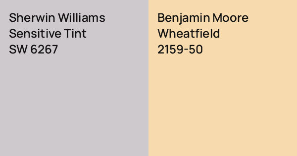 Sherwin Williams Sensitive Tint vs. Benjamin Moore Wheatfield comparison