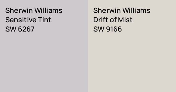 Sherwin Williams Sensitive Tint vs. Sherwin Williams Drift of Mist ...