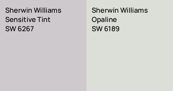 Sherwin Williams Sensitive Tint vs. Sherwin Williams Opaline comparison