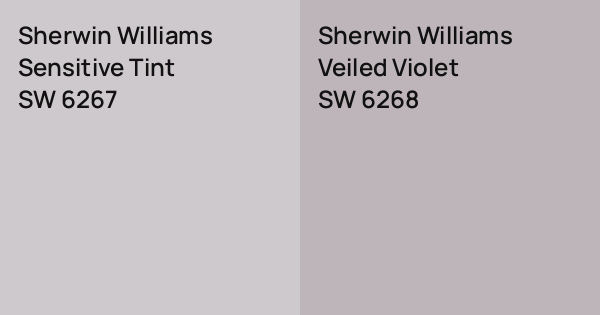 Sherwin Williams Sensitive Tint vs. Sherwin Williams Veiled Violet ...