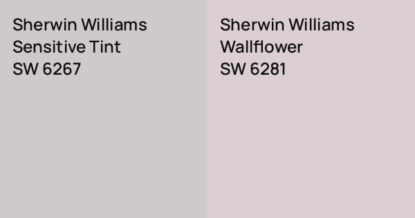 Sherwin Williams Sensitive Tint vs. Sherwin Williams Wallflower comparison