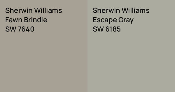 Sherwin Williams Fawn Brindle vs. Sherwin Williams Escape Gray comparison