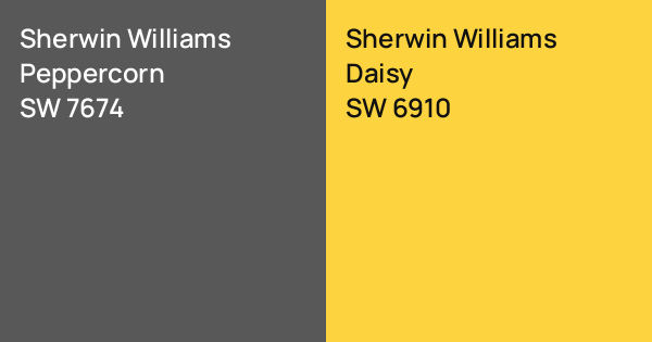Sherwin Williams Peppercorn vs. Sherwin Williams Daisy comparison