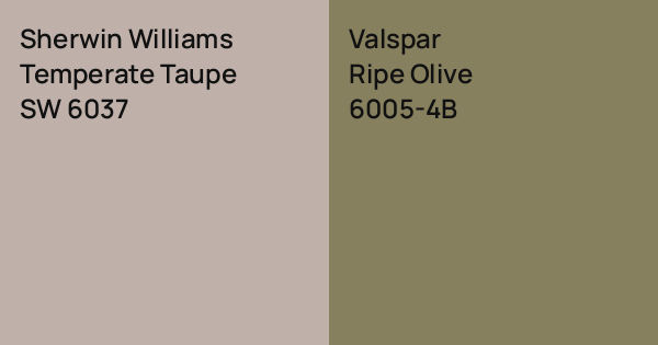 Sherwin Williams Temperate Taupe vs. Valspar Ripe Olive comparison