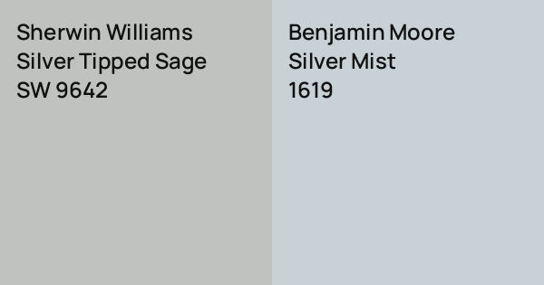 Sherwin Williams Silver Tipped Sage vs. Benjamin Moore Silver Mist ...