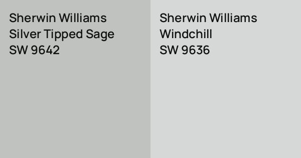 Sherwin Williams Silver Tipped Sage vs. Sherwin Williams Windchill ...