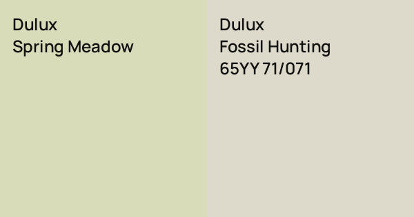 Dulux Spring Meadow vs. Dulux Fossil Hunting comparison