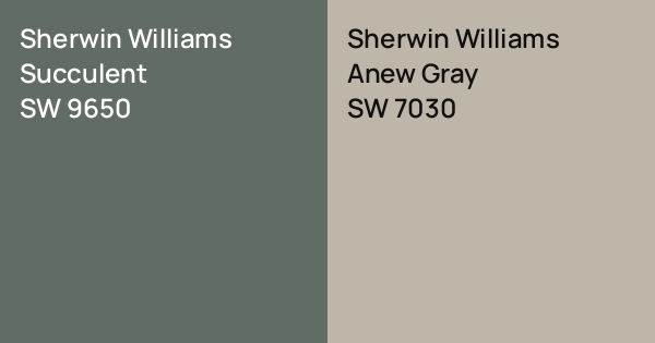 Sherwin Williams Succulent vs. Sherwin Williams Anew Gray comparison