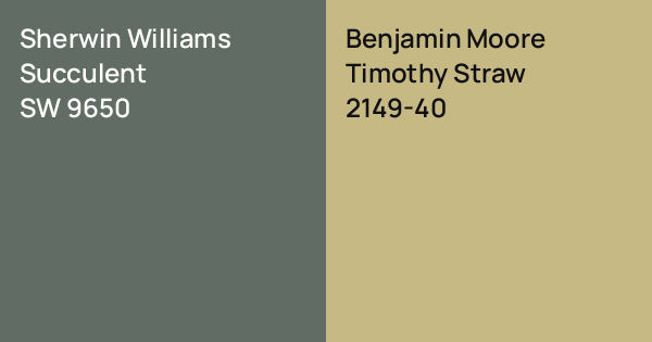 Sherwin Williams Succulent vs. Benjamin Moore Timothy Straw comparison