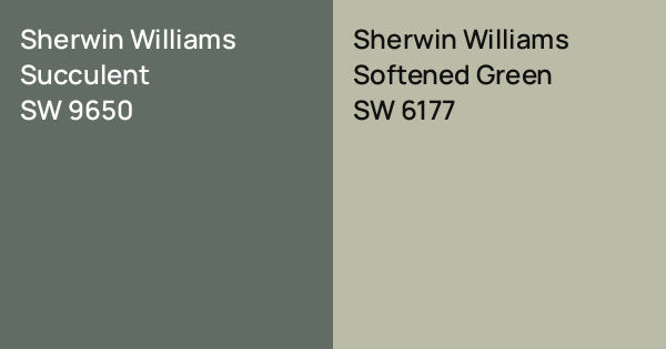 Sherwin Williams Succulent vs. Sherwin Williams Softened Green comparison