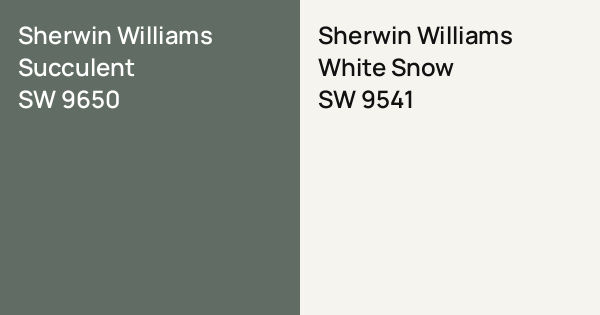Sherwin Williams Succulent vs. Sherwin Williams White Snow comparison