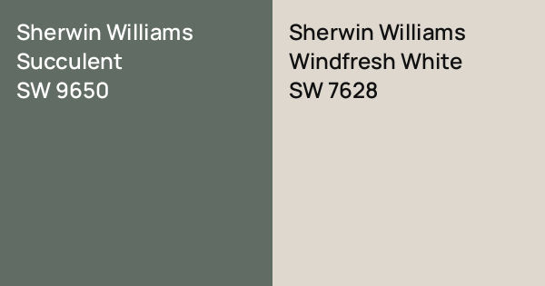 Sherwin Williams Succulent vs. Sherwin Williams Windfresh White comparison