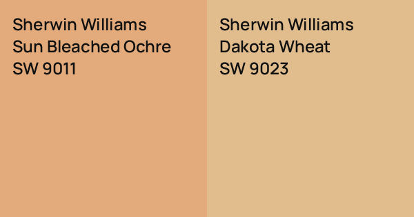 Sherwin Williams Sun Bleached Ochre vs. Sherwin Williams Dakota Wheat ...