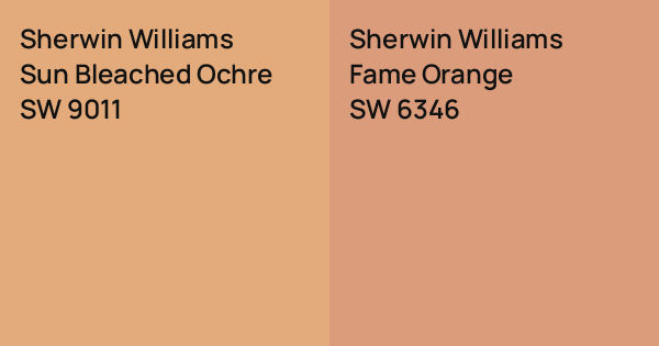 Sherwin Williams Sun Bleached Ochre vs. Sherwin Williams Fame Orange ...