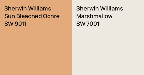 Sherwin Williams Sun Bleached Ochre vs. Sherwin Williams Marshmallow ...