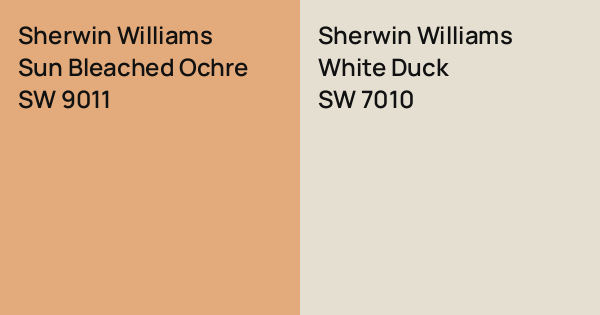 Sherwin Williams Sun Bleached Ochre vs. Sherwin Williams White Duck ...