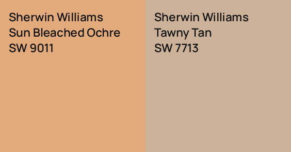 Sherwin Williams Sun Bleached Ochre vs. Sherwin Williams Tawny Tan ...