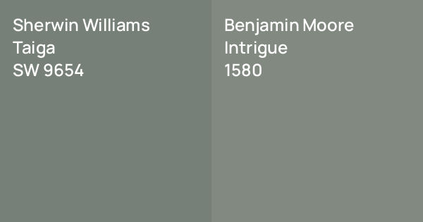 Sherwin Williams Taiga vs. Benjamin Moore Intrigue comparison