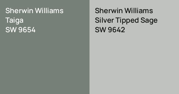 Sherwin Williams Taiga vs. Sherwin Williams Silver Tipped Sage comparison