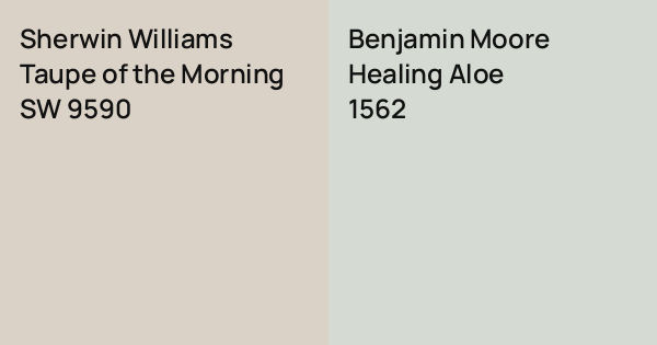 Sherwin Williams Taupe of the Morning vs. Benjamin Moore Healing Aloe ...