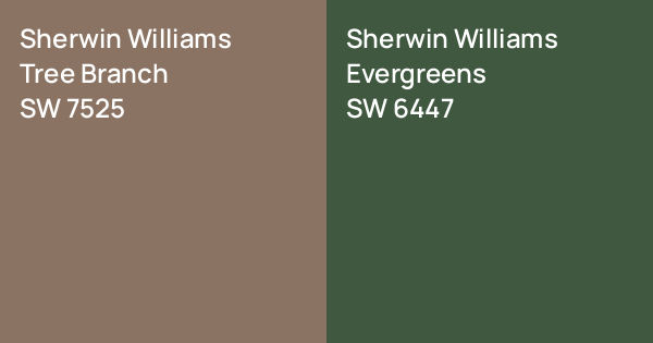Sherwin Williams Tree Branch vs. Sherwin Williams Evergreens comparison