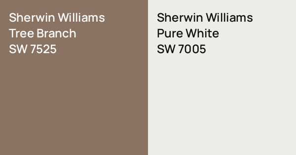 Sherwin Williams Tree Branch vs. Sherwin Williams Pure White comparison
