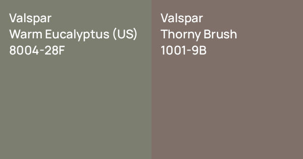 Valspar Warm Eucalyptus (US) vs. Valspar Thorny Brush comparison