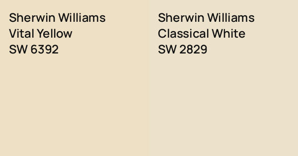Sherwin Williams Vital Yellow vs. Sherwin Williams Classical White ...