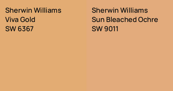 Sherwin Williams Viva Gold vs. Sherwin Williams Sun Bleached Ochre ...
