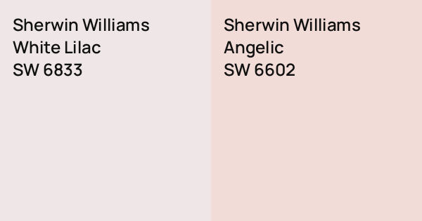 Sherwin Williams White Lilac vs. Sherwin Williams Angelic comparison