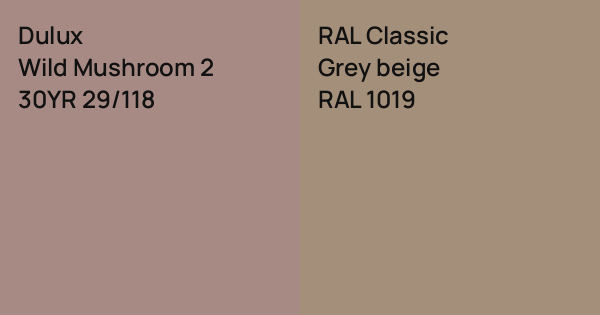 Dulux Wild Mushroom 2 vs. RAL Classic Grey beige comparison