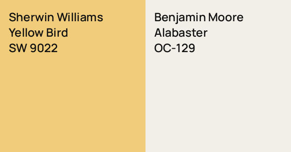 Sherwin Williams Yellow Bird vs. Benjamin Moore Alabaster comparison