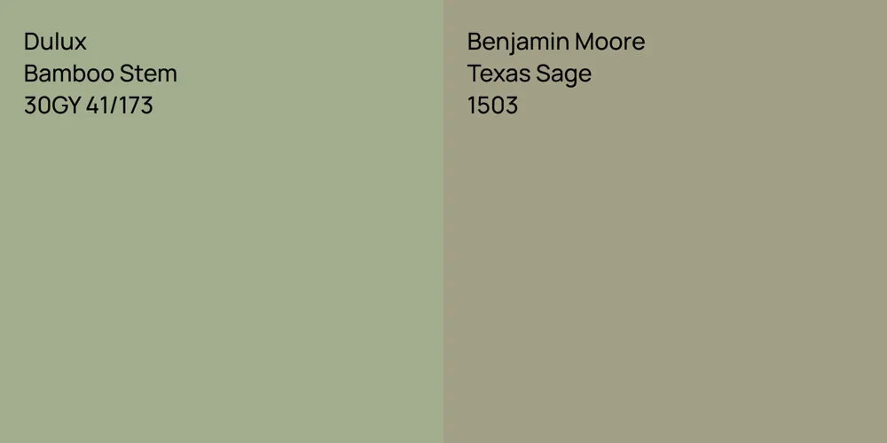 Dulux Bamboo Stem vs. Benjamin Moore Texas Sage comparison