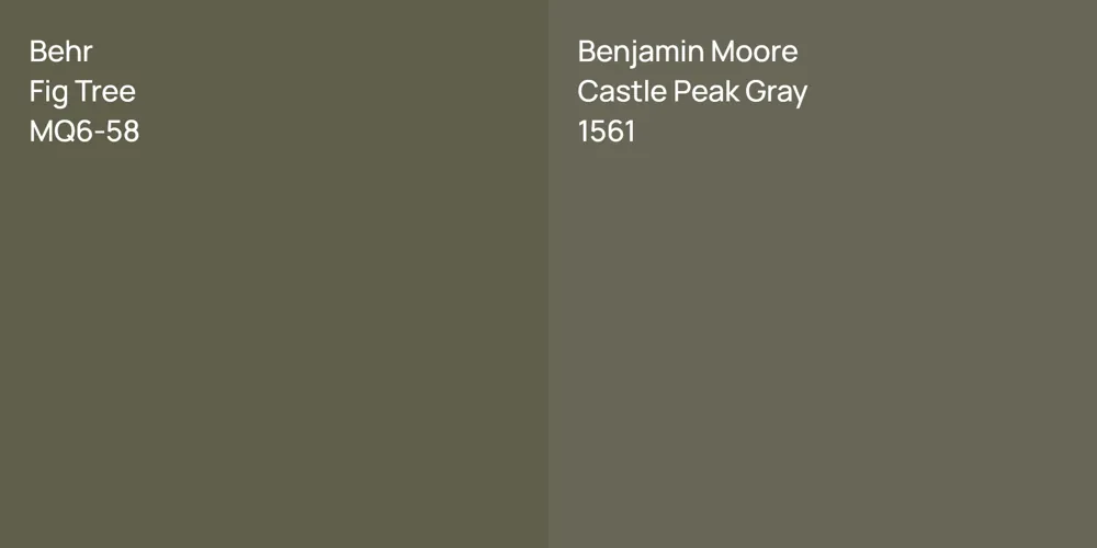 Behr Fig Tree vs. Benjamin Moore Castle Peak Gray comparison