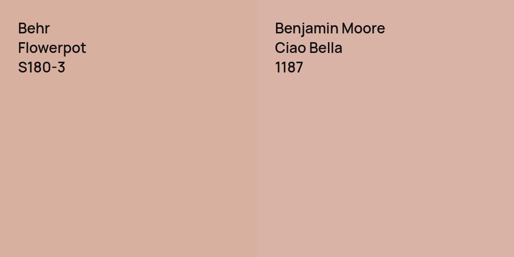 Behr Flowerpot vs. Benjamin Moore Ciao Bella comparison