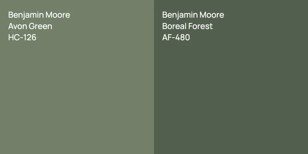 Benjamin Moore Avon Green vs. Benjamin Moore Boreal Forest comparison
