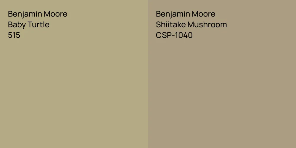 Benjamin Moore Baby Turtle vs. Benjamin Moore Shiitake Mushroom comparison