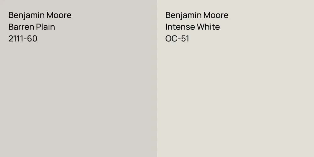 Benjamin Moore Barren Plain vs. Benjamin Moore Intense White comparison