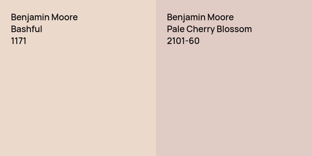 Benjamin Moore Bashful vs. Benjamin Moore Pale Cherry Blossom comparison