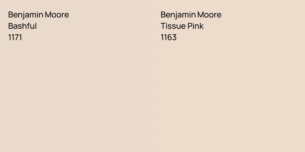Benjamin Moore Bashful vs. Benjamin Moore Tissue Pink comparison