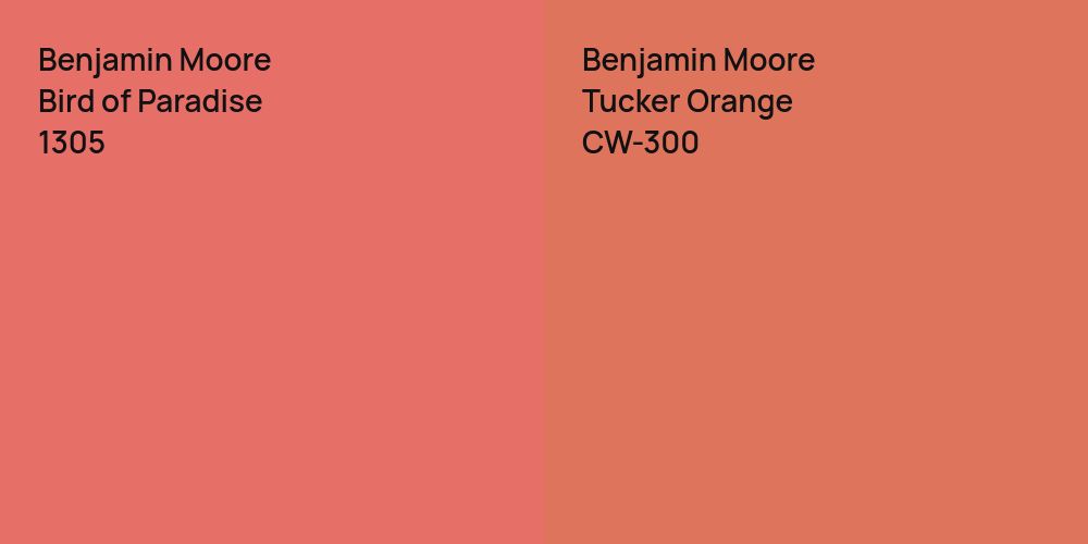 Benjamin Moore Bird of Paradise vs. Benjamin Moore Tucker Orange comparison