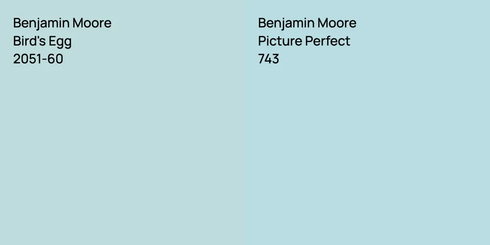 Benjamin Moore Bird's Egg vs. Benjamin Moore Picture Perfect comparison