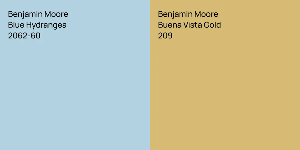 Benjamin Moore Blue Hydrangea vs. Benjamin Moore Buena Vista Gold ...
